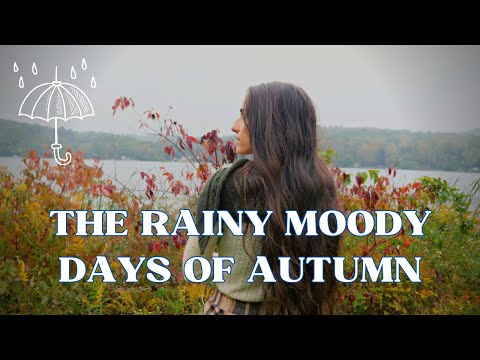 Welcoming Autumn | Cozy Rainy September Vlog