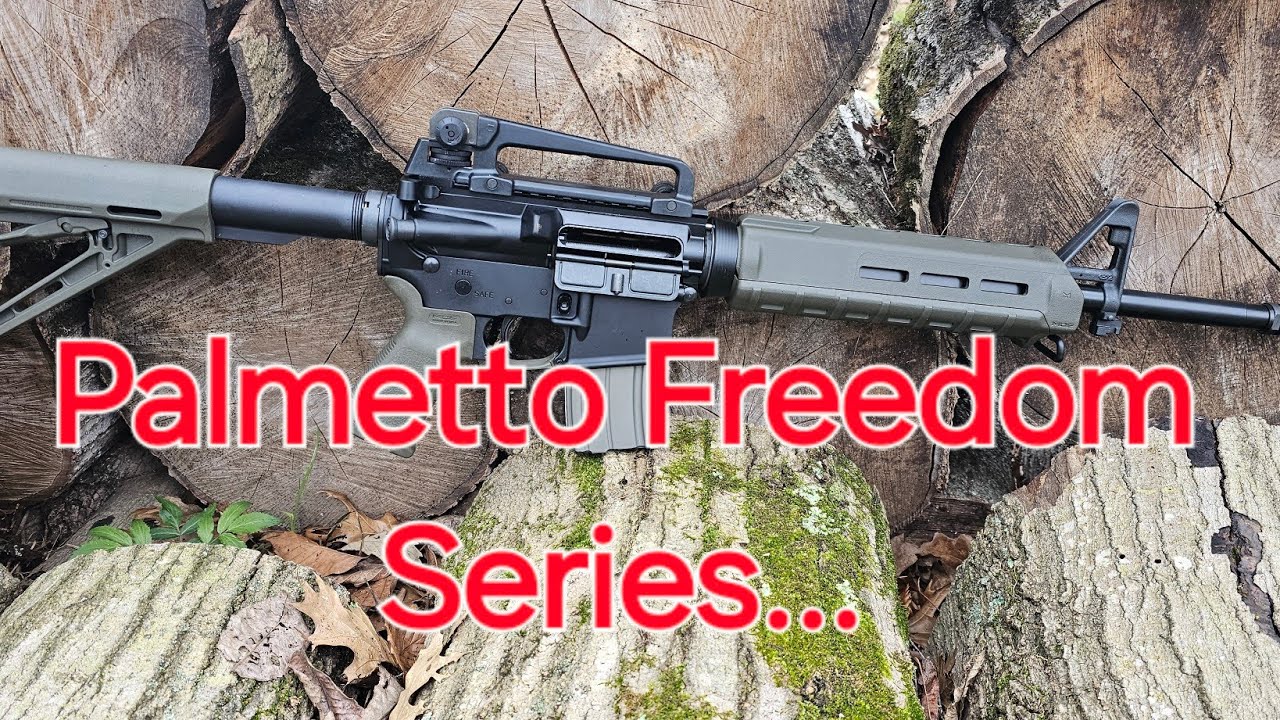 Palmetto State Armory "Freedom" Rifle Kit: Unboxing & Shooting Review ...