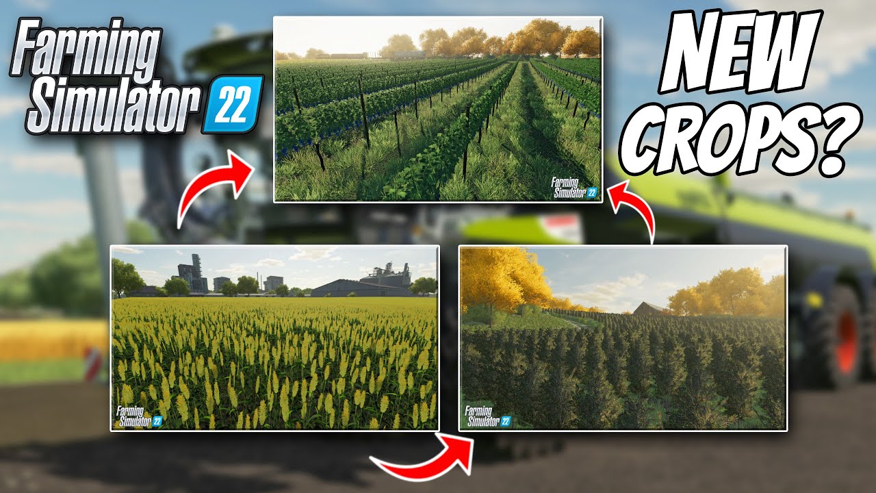 BIG NEWS! | THREE NEW CROPS in - Farming Simulator 22 | (Review) - YouTube