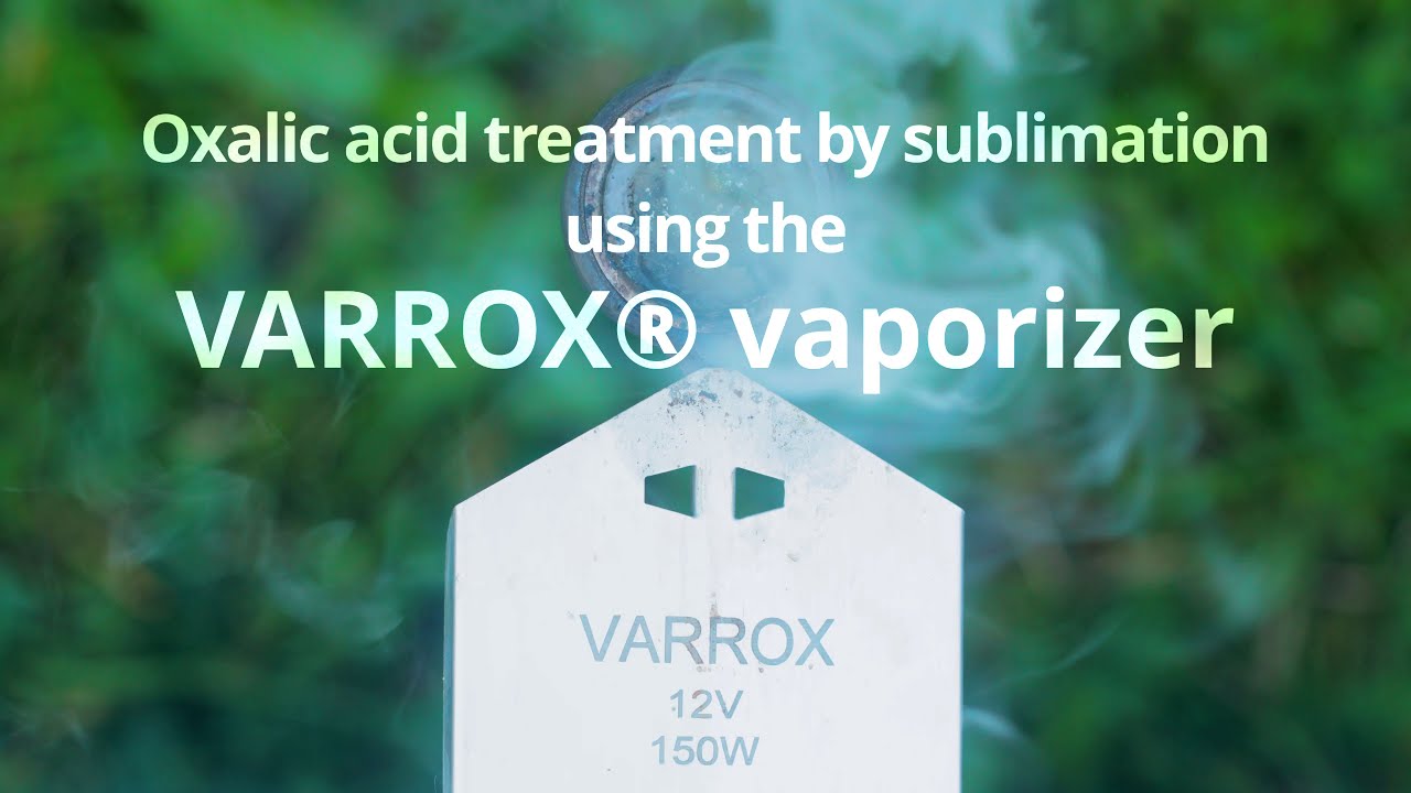 Oxalic acid treatment by sublimation using the VARROX® vaporizer - YouTube