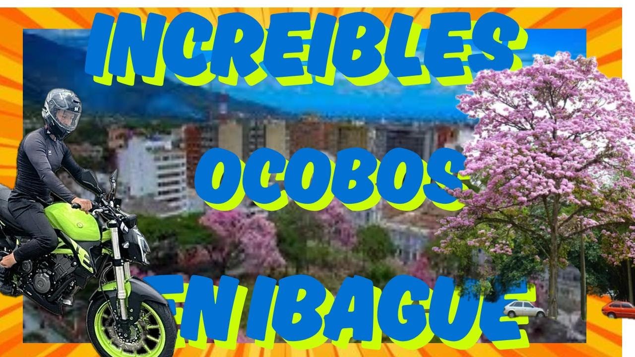 INCREIBLES LOS OCOBOS EN IBAGUE - YouTube