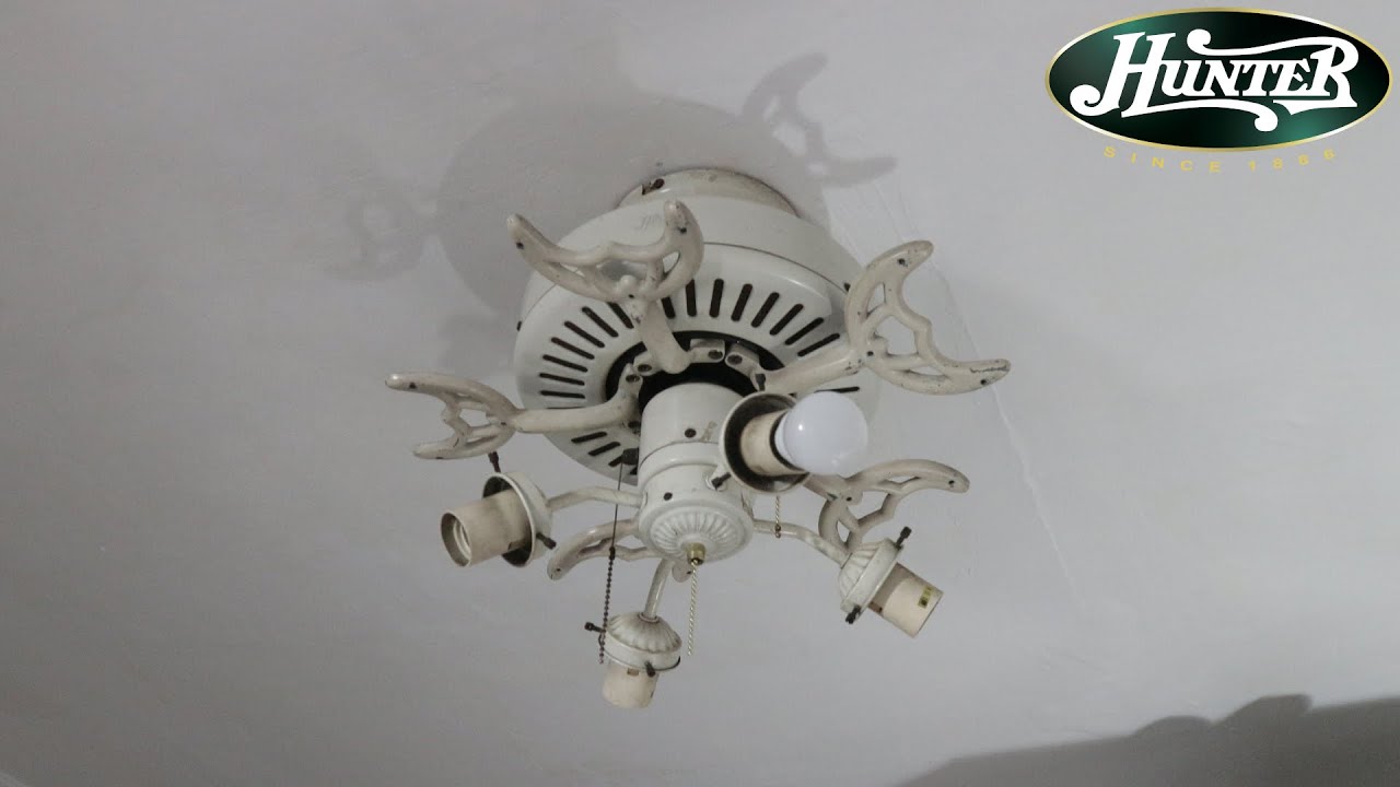 52" Hunter Tradition Ceiling Fan | Blade-arms Only - YouTube