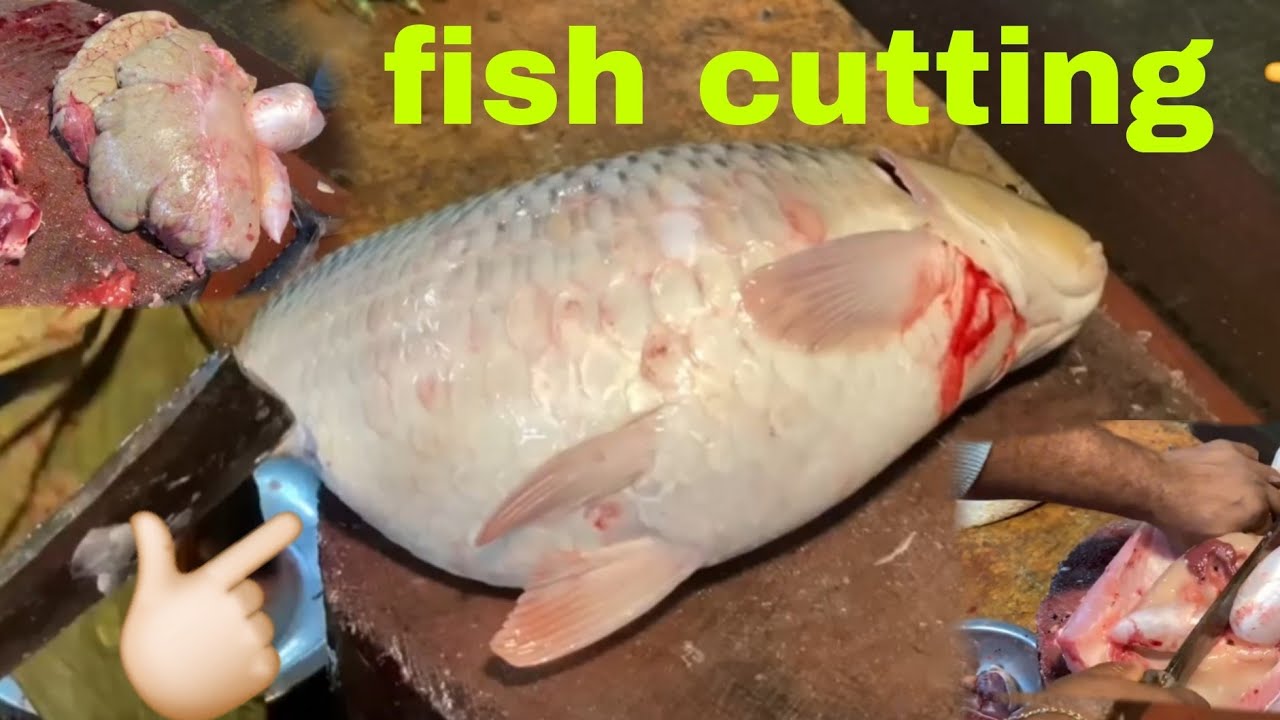 fish murder cutting 🔪😲👈🏻 #fishing #fish - YouTube