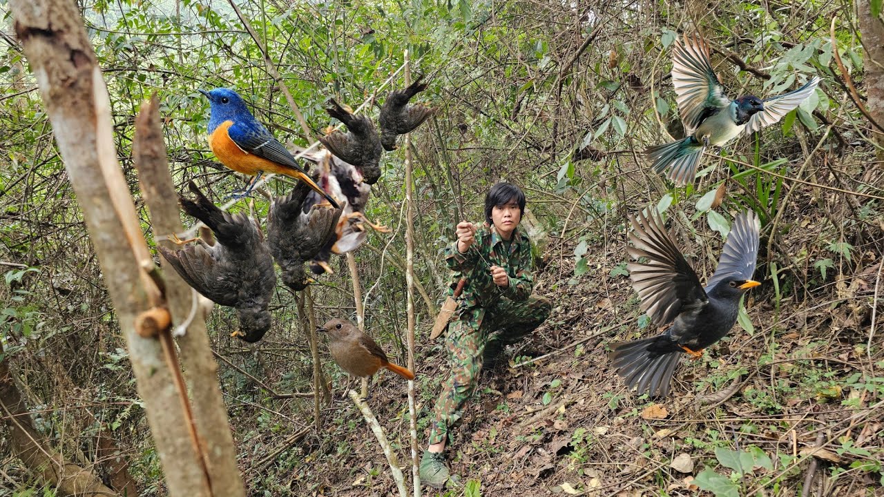 200 Days Survival, Trap, Wild Boar, Jungle Fowl, Wild Bird, Night Hunt ...