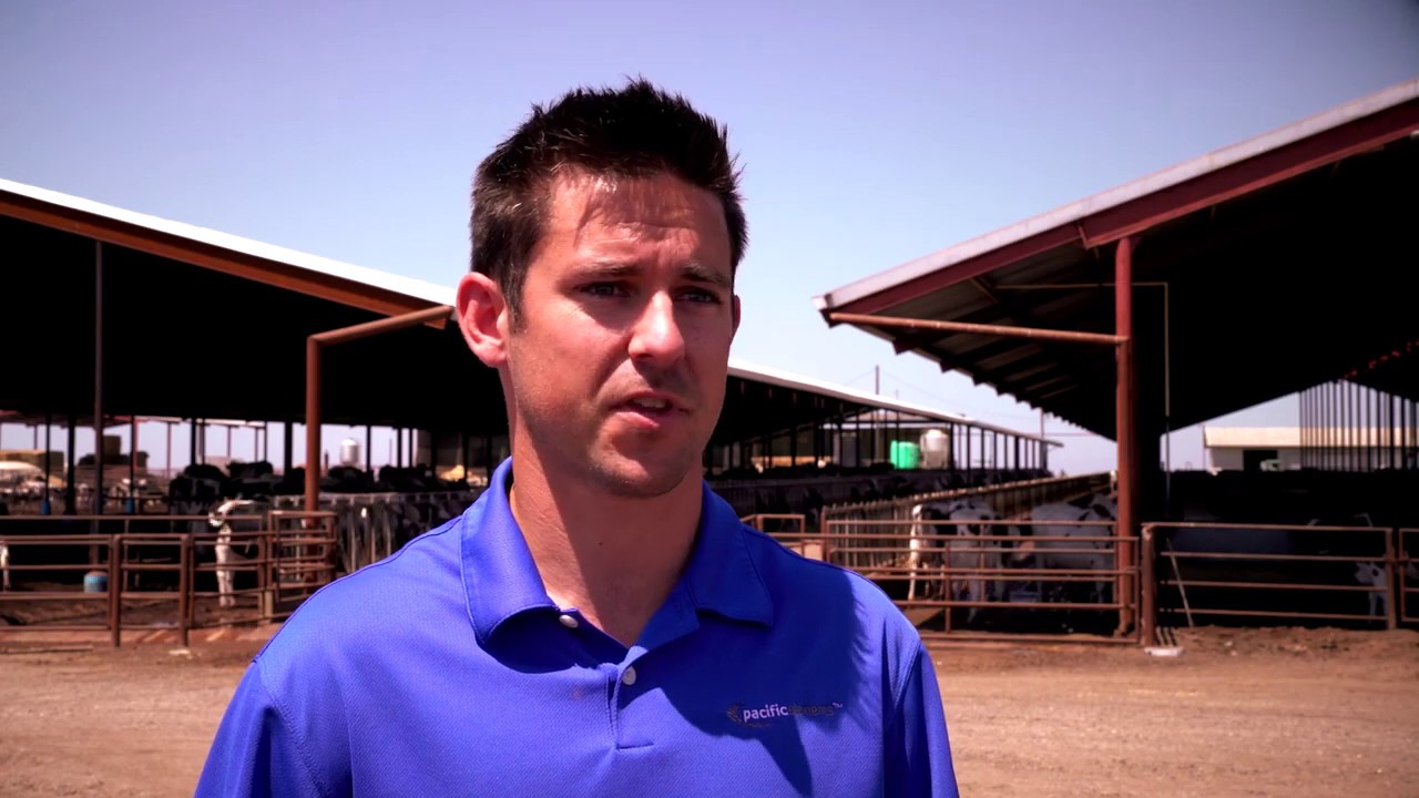 Pacific Elements Customer Focus - YouTube