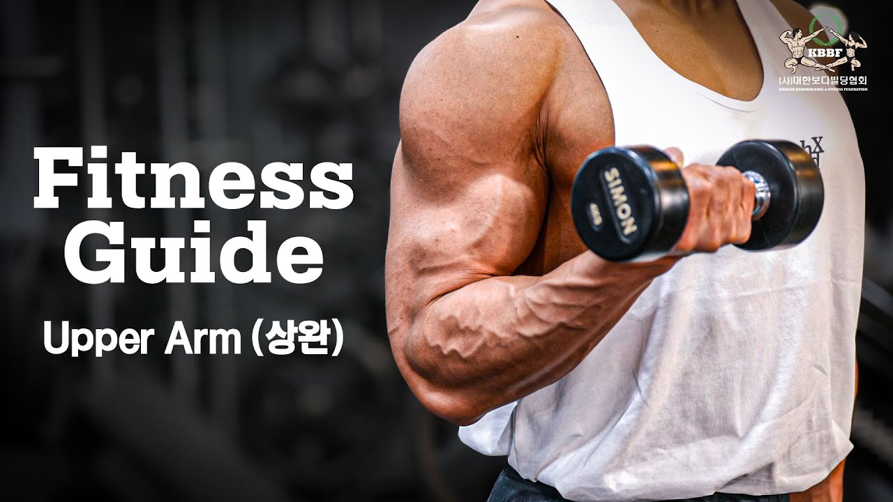 Fitness Guide - Upper Arm(상완) - YouTube