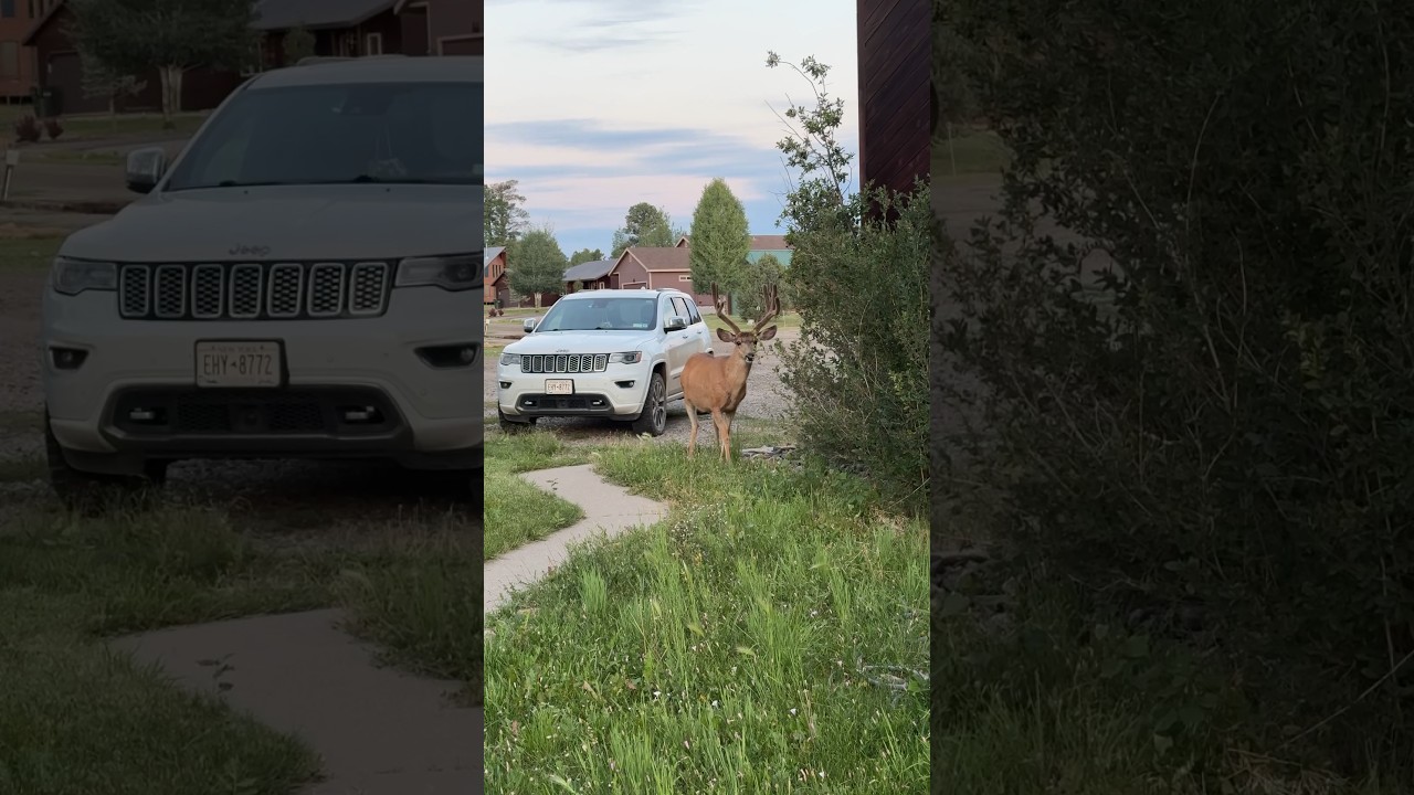 Homepage - The Real Outdoors