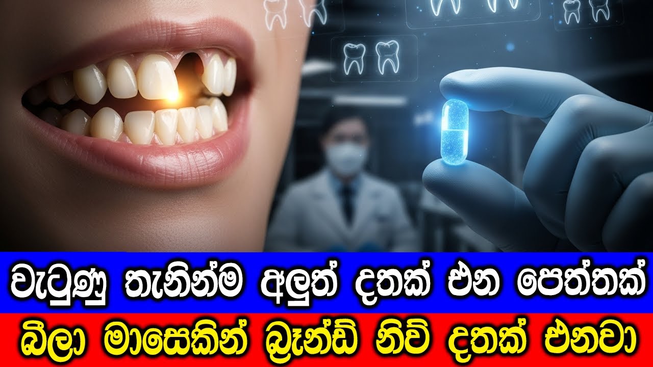වැටුණු තැනින්ම අලුත් දතක් එන පෙත්තක්. Scientists Just Invented a Pill ...