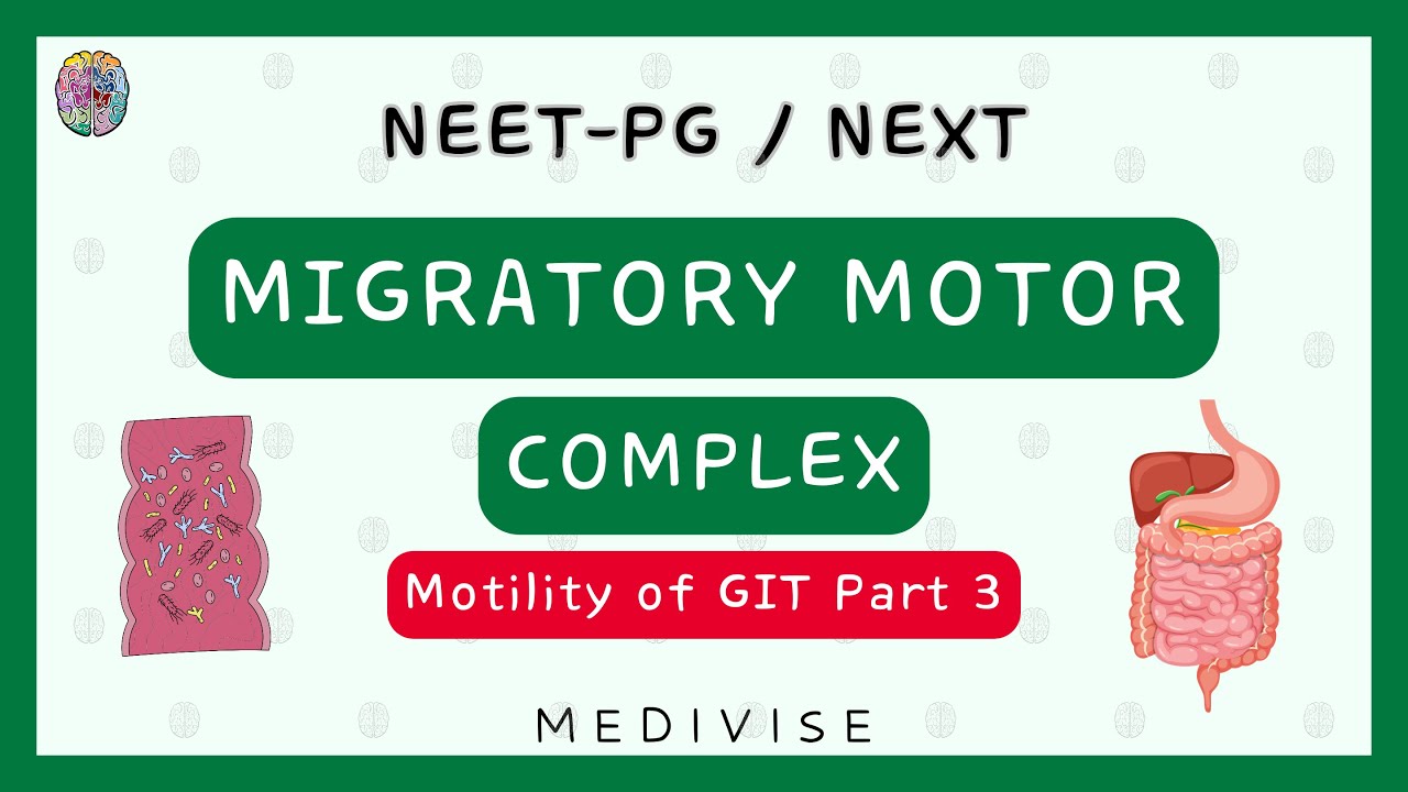 Migratory Motor Complex | Motility of GIT | NEET-PG / FMGE - YouTube