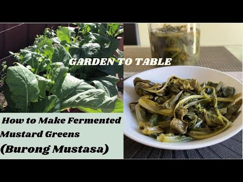 My Husband’s Fermented Mustard Greens (Burong Mustasa) - YouTube