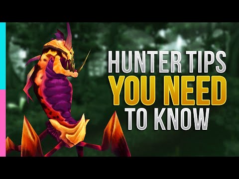 TBC Hunter Essential Guide : Burning Crusade Primer | WoW TBC Classic ...