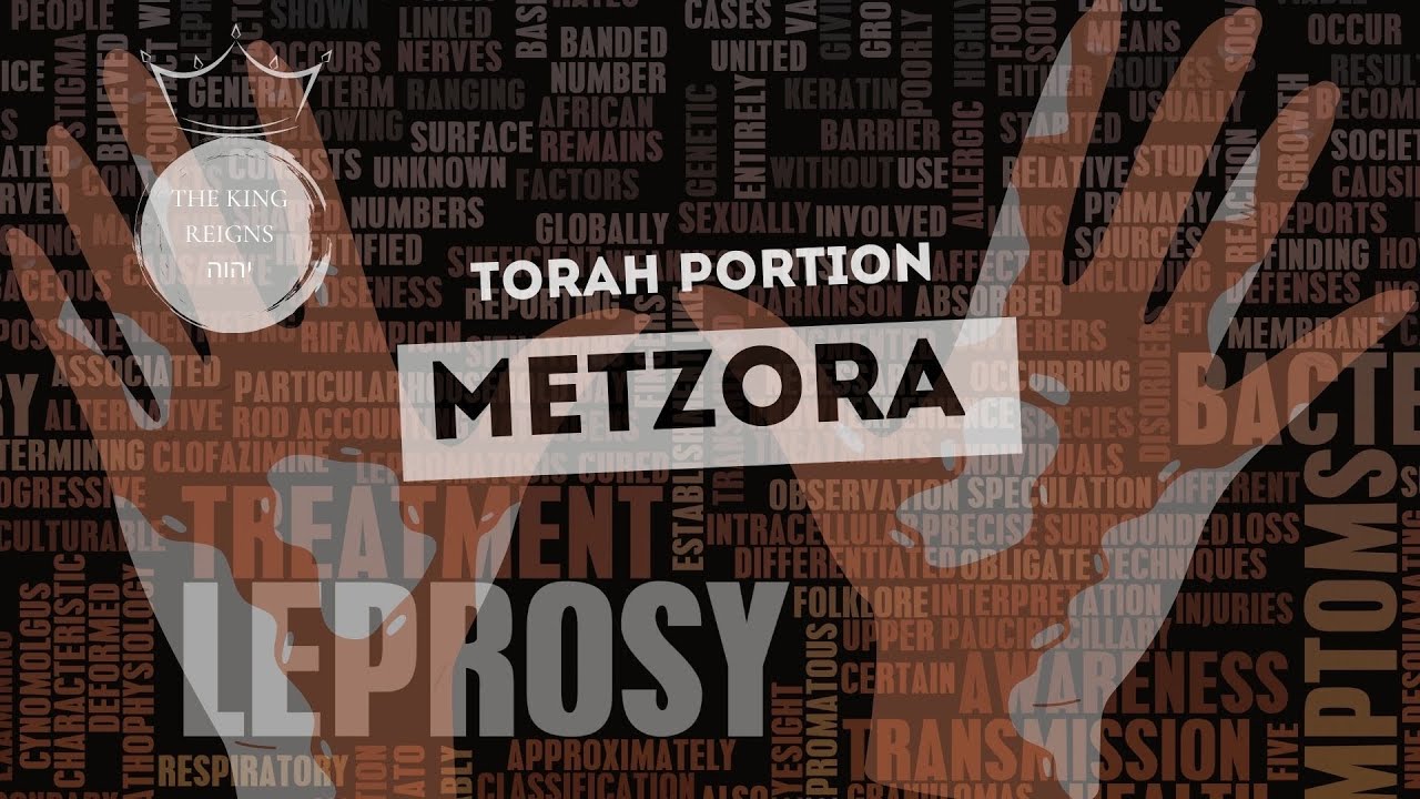 METZORA TORAH PORTION - YouTube