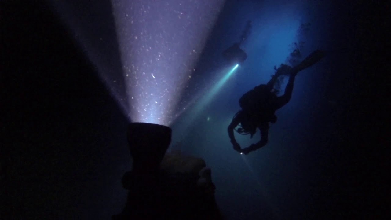 Zenobia wreck - quick look into the engine room (dm) - YouTube