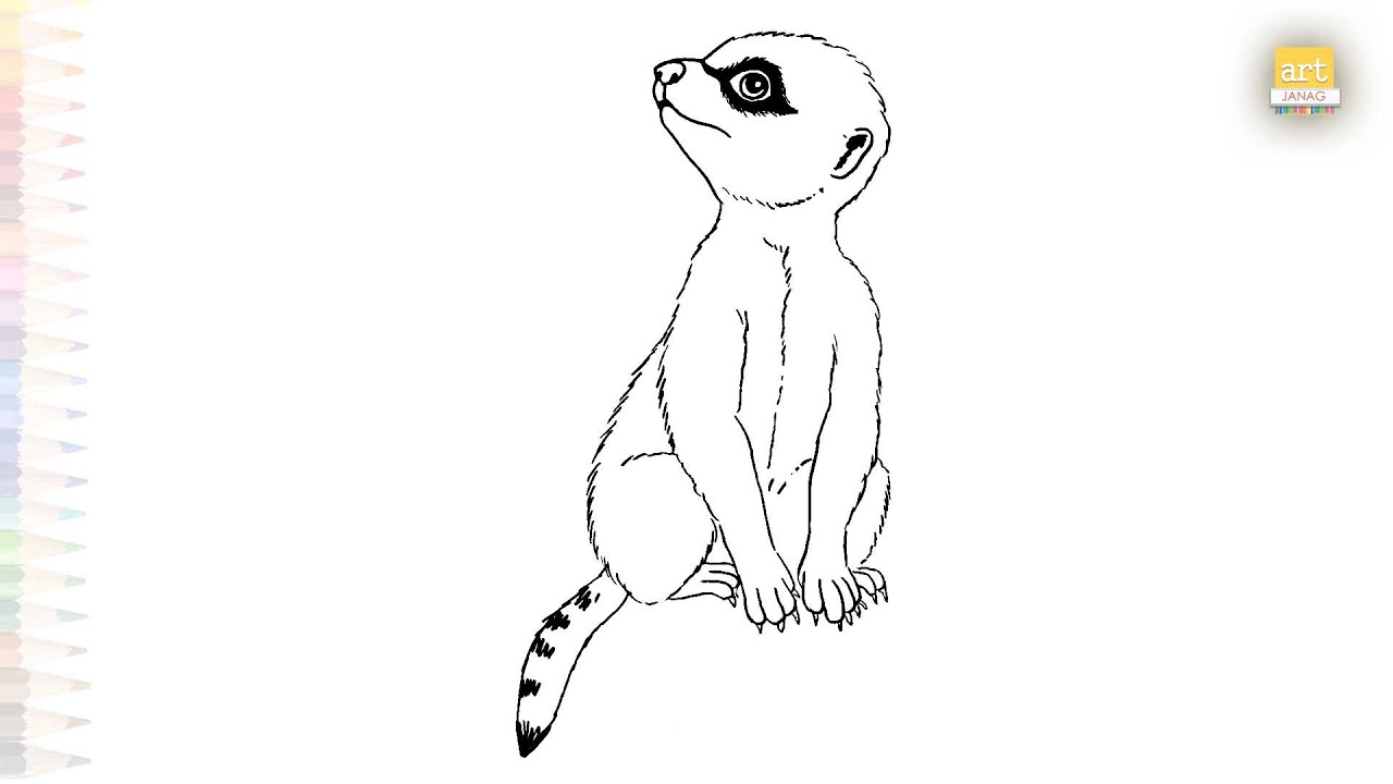 Baby Meerkat drawing easy | Animal outline sketches | How to draw A ...