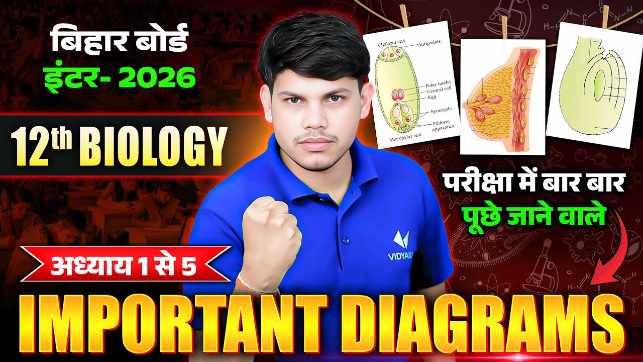Class 12 Biology Important Diagrams | Chapter 1 to 5 | Most Important ...