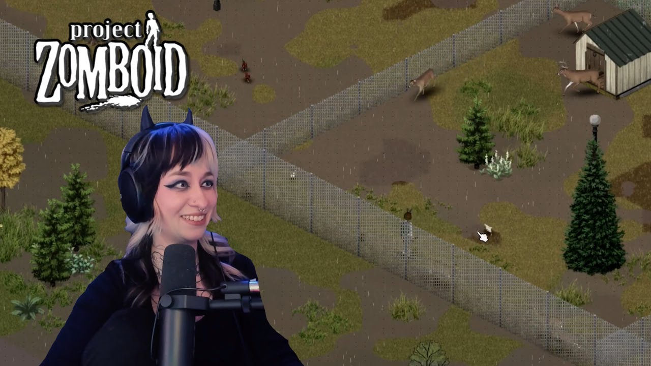 Look at all those chickens - Project Zomboid Build 42 Unstable - YouTube