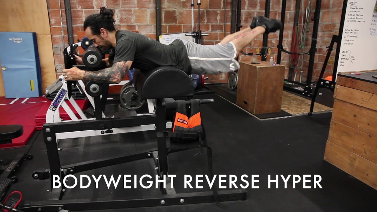 Bodyweight Reverse Hyper - YouTube