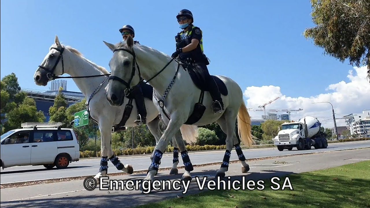 SA Police officers traveling on two horsepower - YouTube