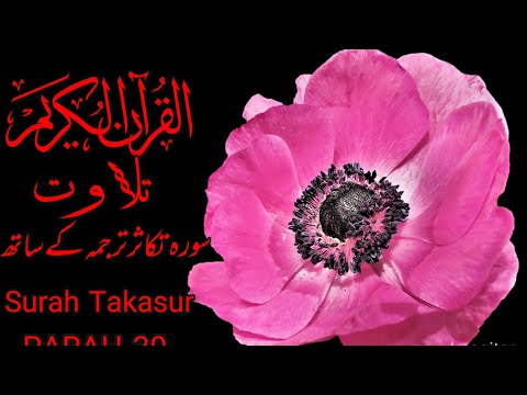 Surah Takasur (Takasur) Surah Takasur Full Arabic With Urdu Translation ...