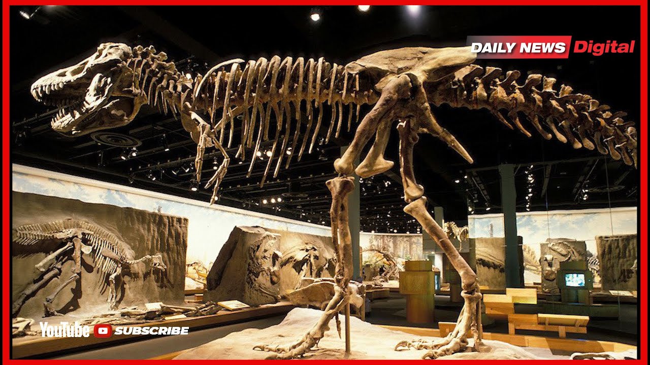 DKT. MWINYI ASHUHUDIA MABAKI YA MJUSI MKUBWA WA TANZANIA - YouTube