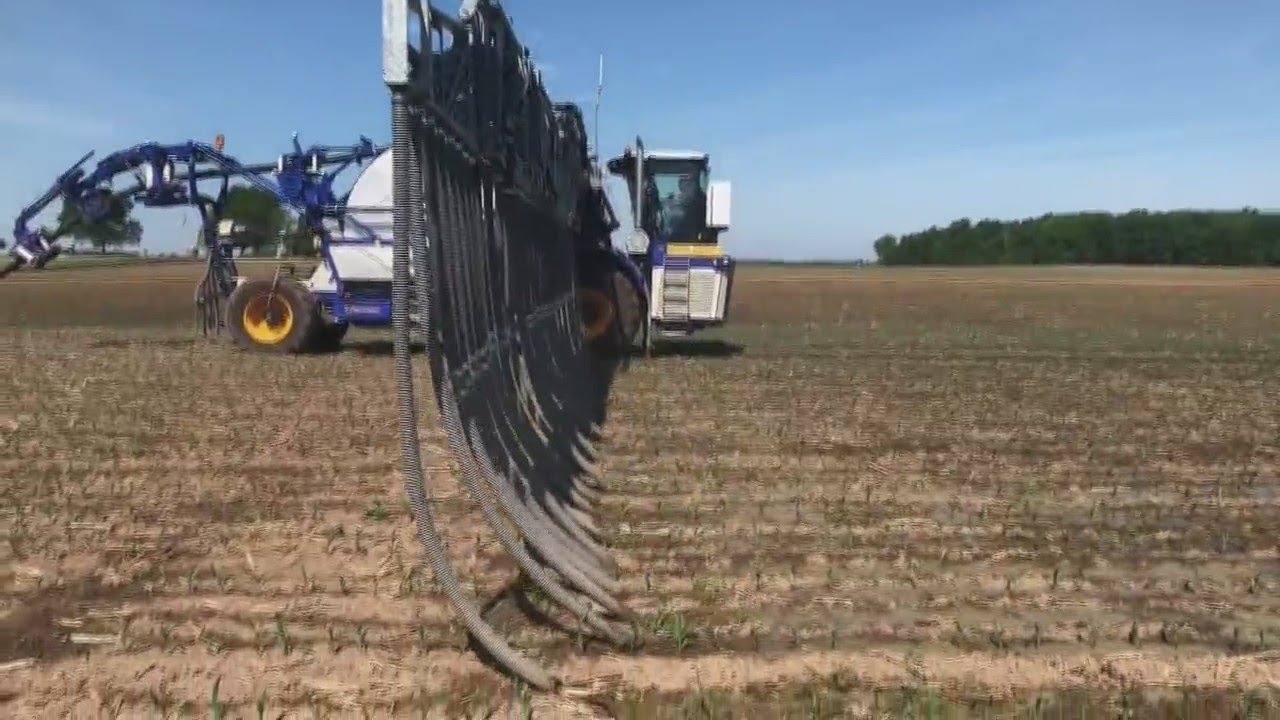 Applying Manure to Growing Crops - YouTube