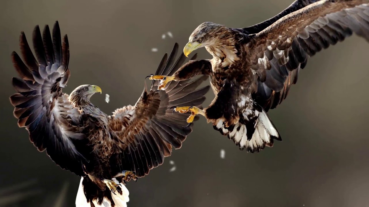 Parallax Examples - YouTube