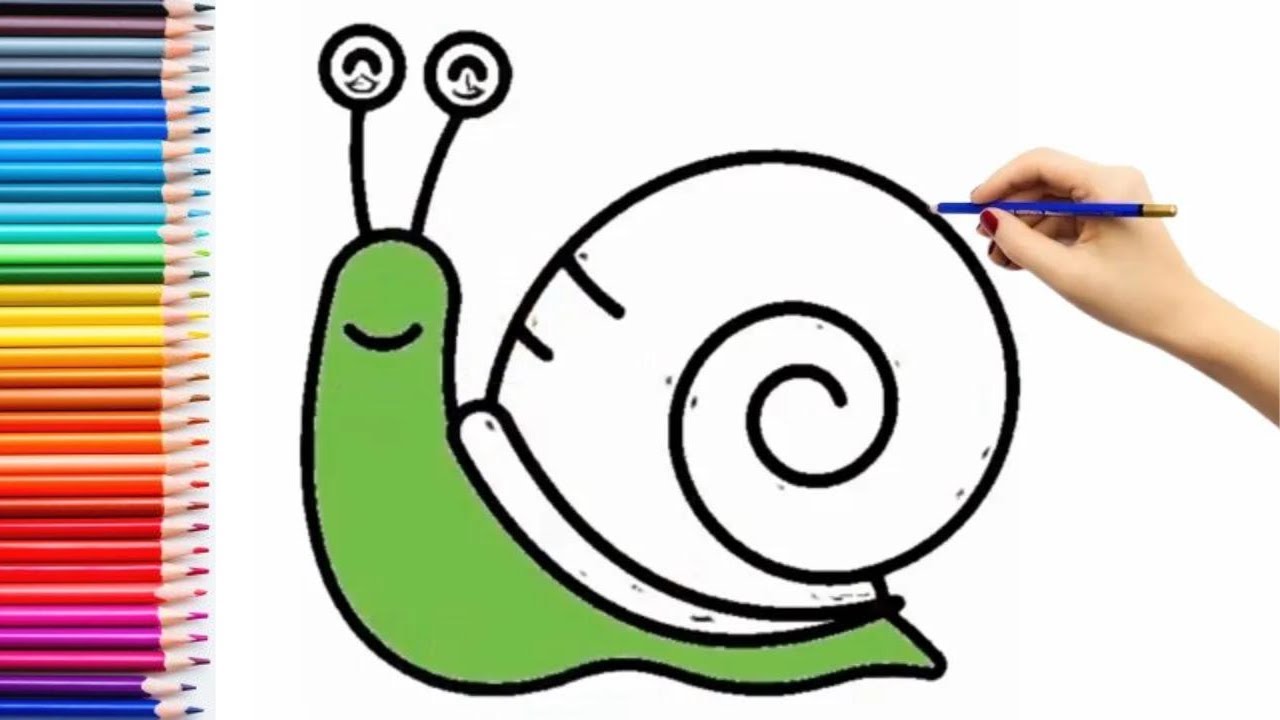 How to draw a cute green snail step by step for kids and babies - YouTube