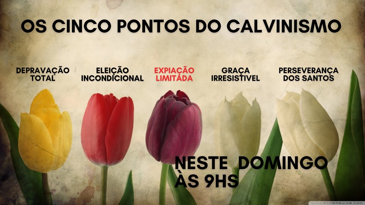 OS CINCO PONTOS DO CALVINISMO - LIÇÃO 3 – EXPIAÇÃO LIMITADA - YouTube