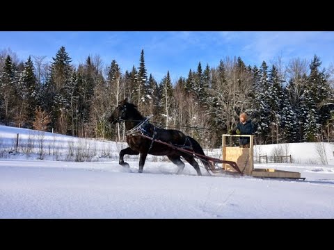 Fabricating a Custom Horse Sled - DIY at Rugged Ridge Forest - YouTube