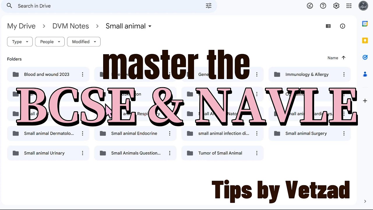 How to Master BCSE & NAVLE - YouTube