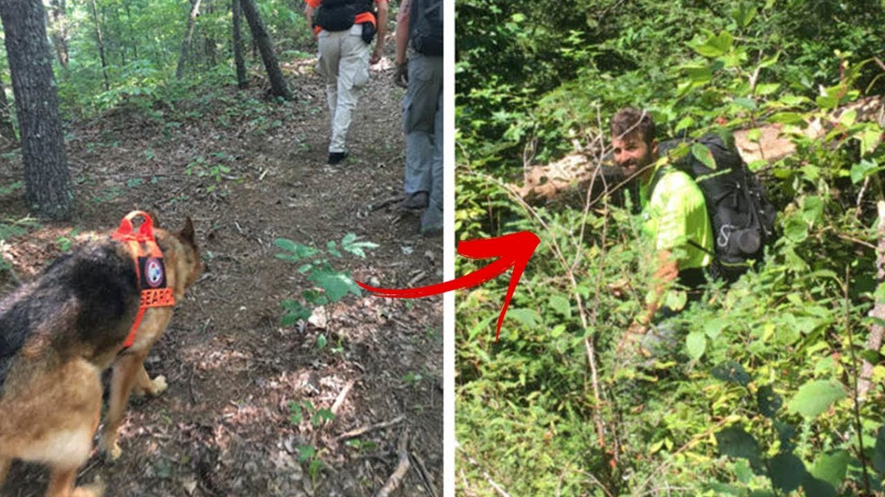 After 11 Days Searching For A Lost Boy In The Mountains, Cops Had To ...