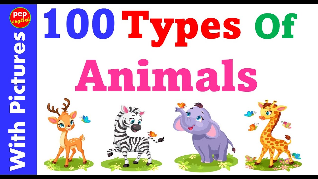 Types of animals | Different Types of animals | Animals vocabulary ...