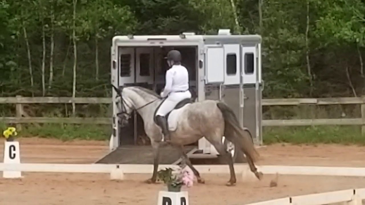 First Level test 2 July 28 2018 - YouTube