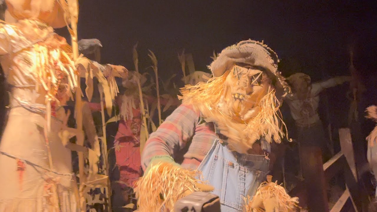 Scarecrow: The Reaping Maze POV | Halloween Horror Nights Universal ...