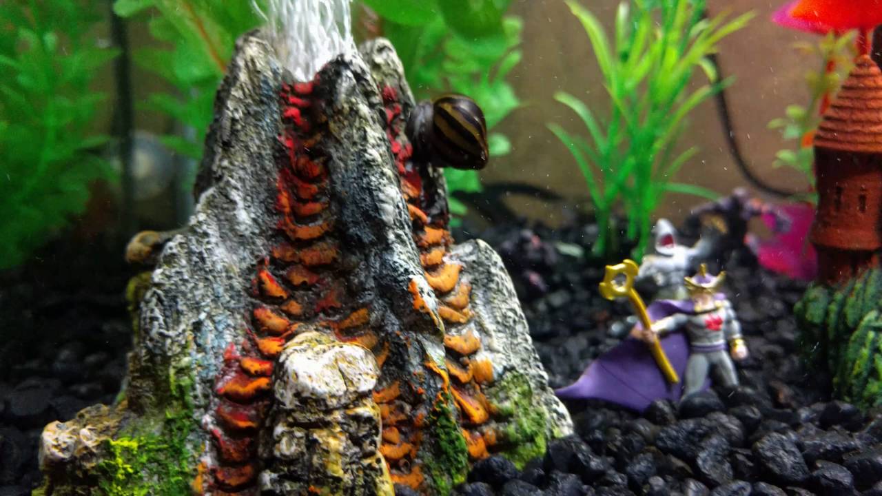 20 Gallon Community Tank - DC Aquaman Themed - YouTube