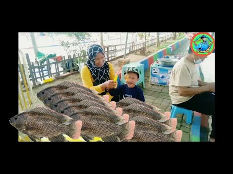BALITA BERMAIN DITAMAN KOTA!!!!cara mendidik anak dibawa umur 5 tahun bermain dan bermain play group