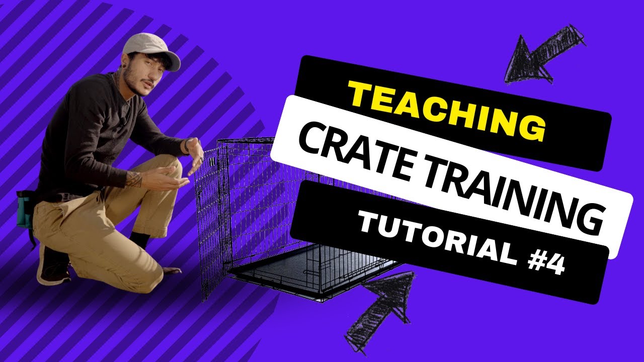 How to Crate Train Your Dog - YouTube