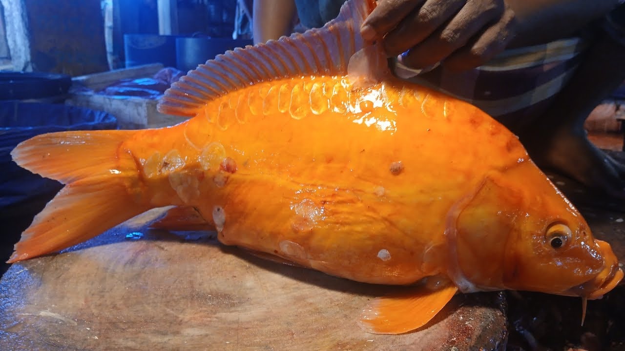 🔥 Watch! Amazing American Rui Fish Cutting Skill That Surprised!🔥 | Big ...
