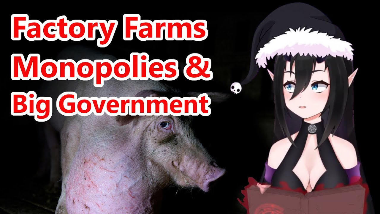 Corporate Abuse or Big Government? Zaytris | VTuber - YouTube