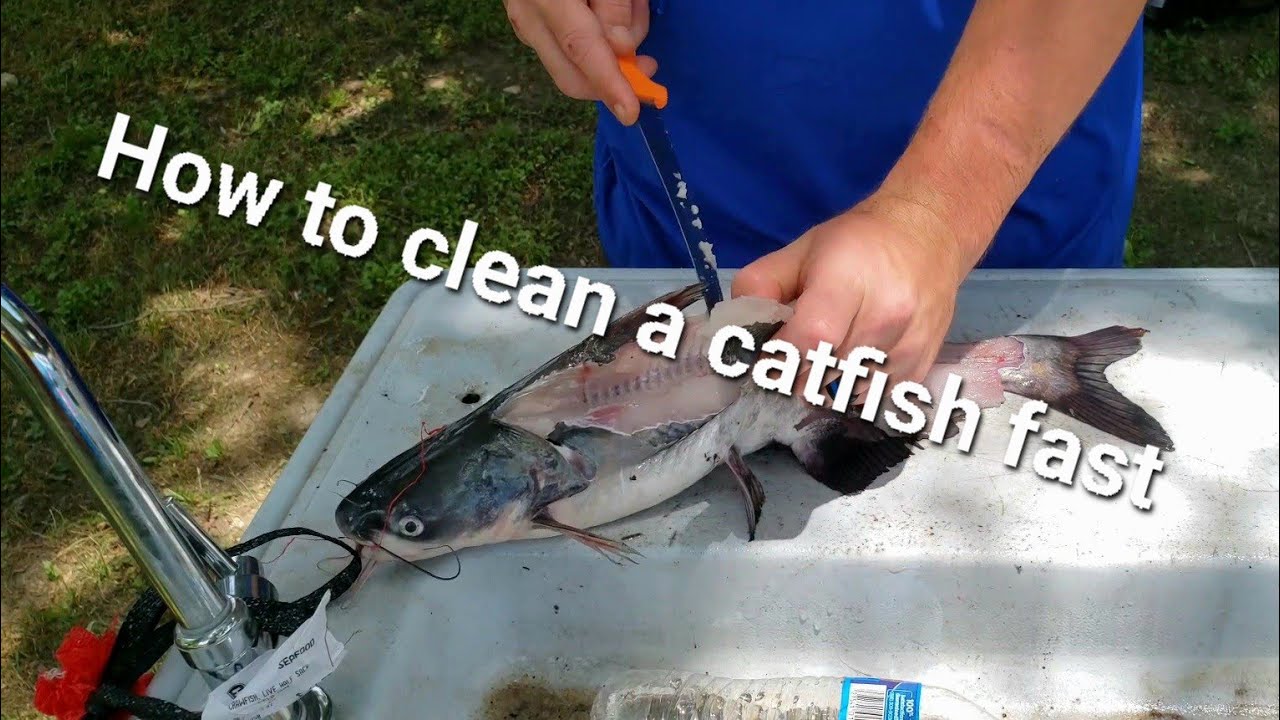 how to clean a catfish fast - YouTube