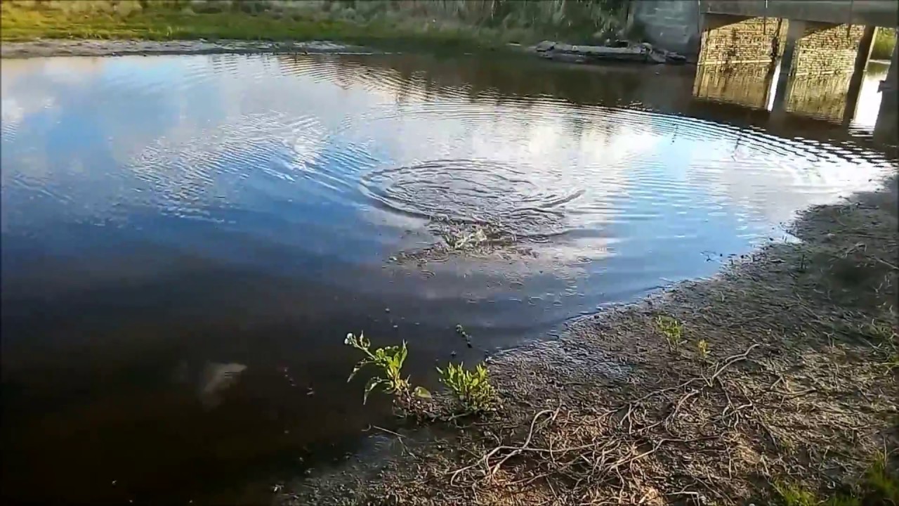 Pescando En Rio Lujan y R47 - YouTube