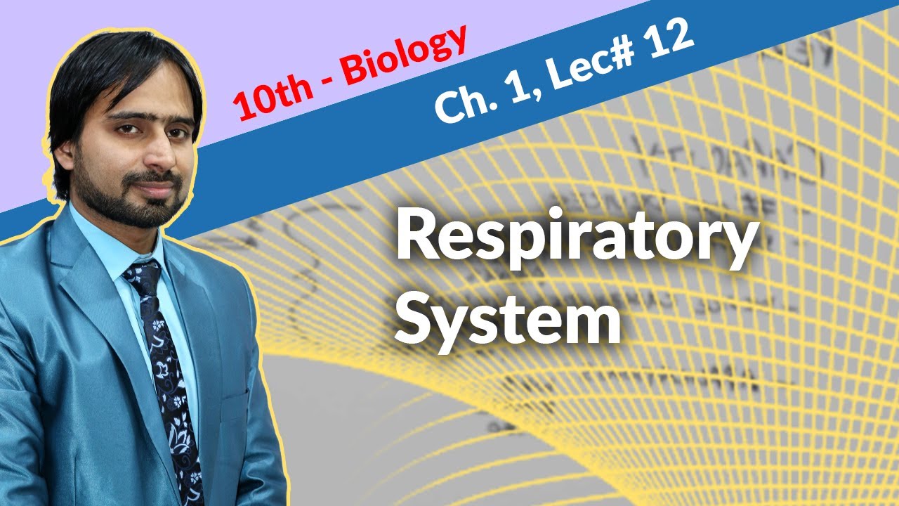 10th Biology Ch 1 Respiratory system - 10th class Biology Ch 1 ...