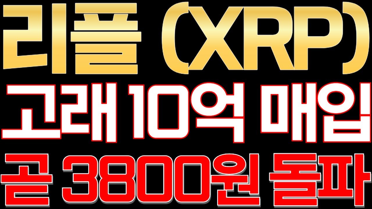 리플 소송 시나리오 공개 전 그들은 미리 움직였다 단기간 목표가 4300원 🔥 리플전망 리플코인 Xrp 트럼프 일론