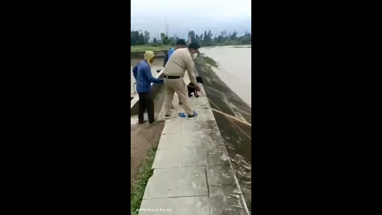 E94E251F4CDB5E01A46E810F0BCBD0AC_video_dashinit.mp4 - YouTube