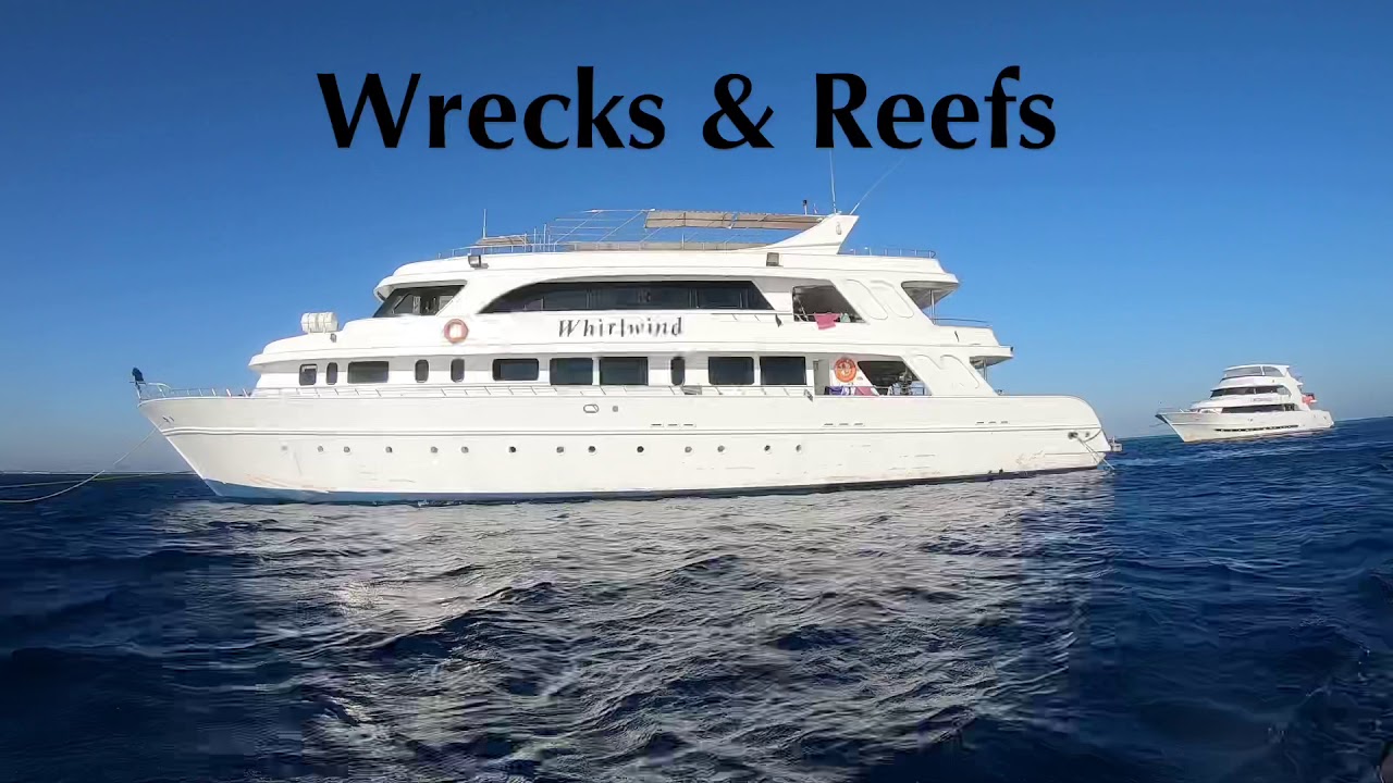 Red Sea Liveaboard - Whirlwind - October 2019 - YouTube