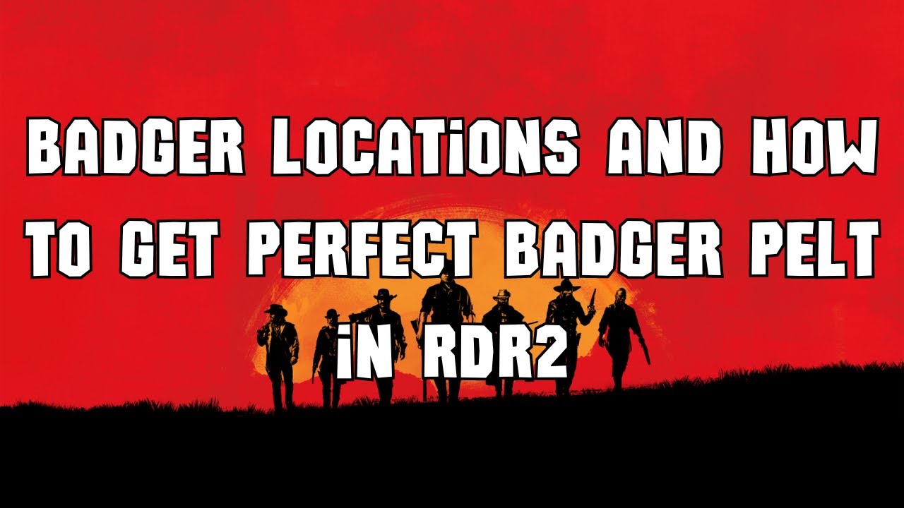 Badger Locations and How To Get Perfect Badger Pelt in Red Dead ...