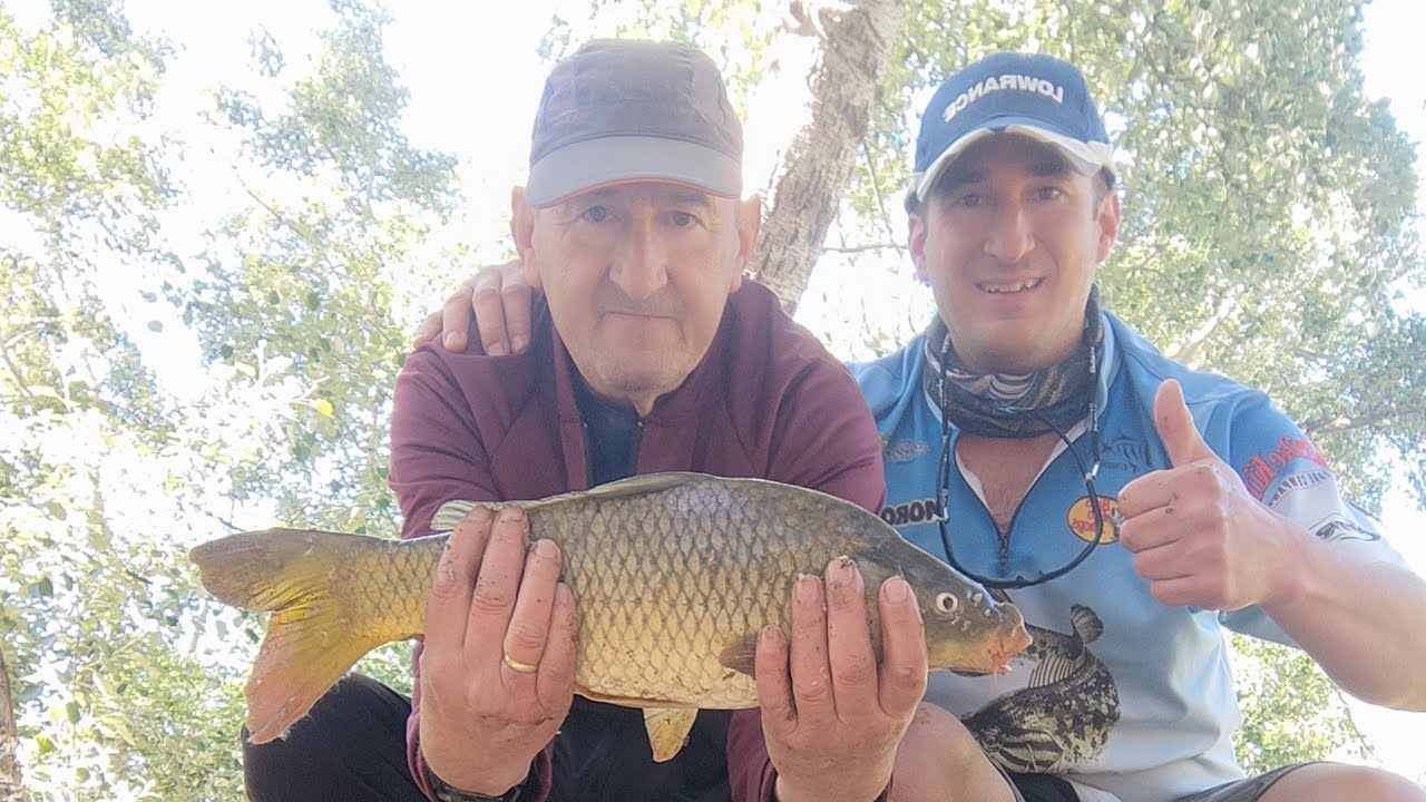 CARPAS POR El RIO HENARES// MORON FISHING - YouTube