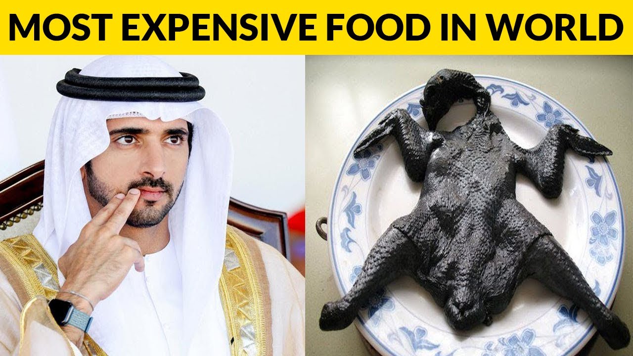 Expensive Foods Only Rich People Can Afford Urdu Hidni YouTube expensive-foods-only-rich-people-can-afford-urdu-hidni-youtube
