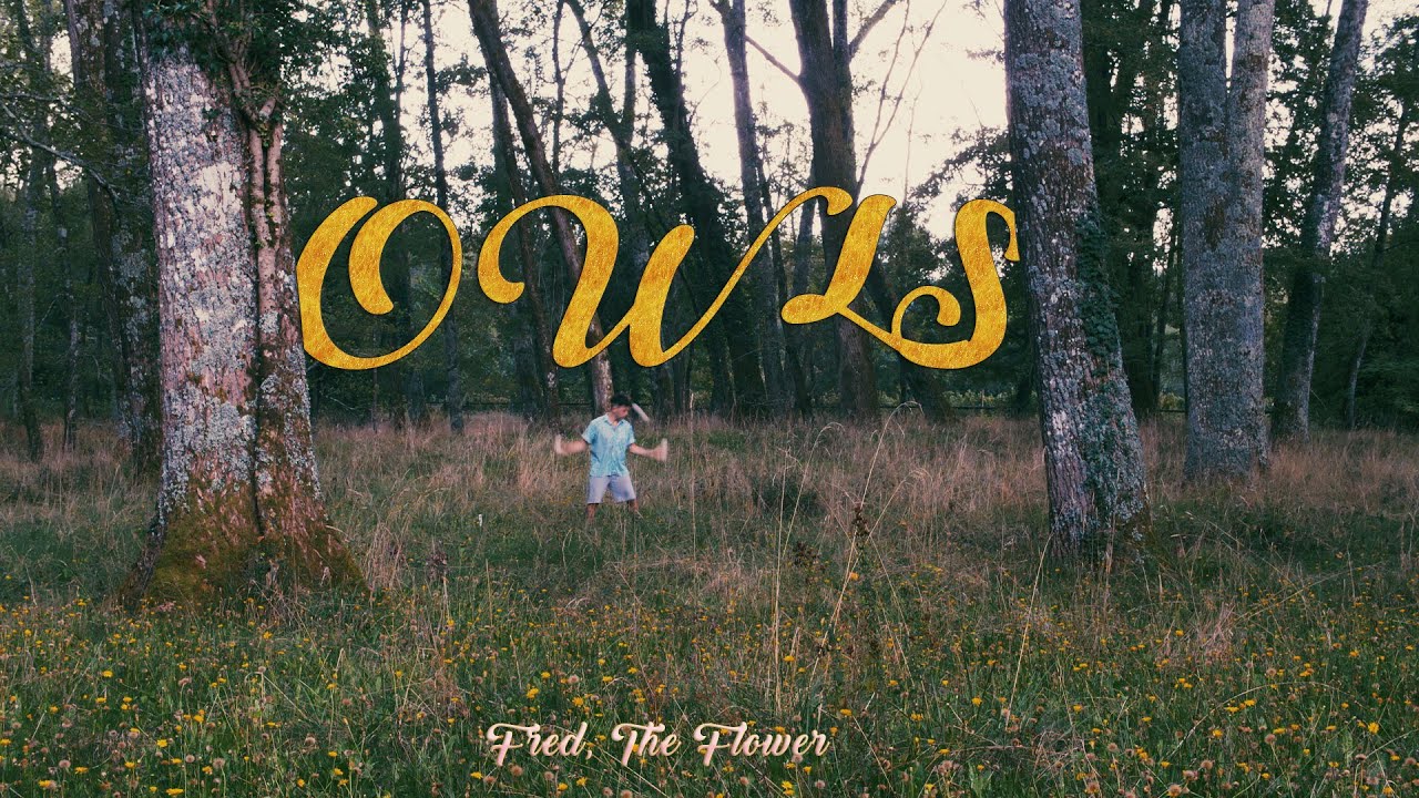 Fred, The Flower - OWLS (Official Video) - YouTube Music