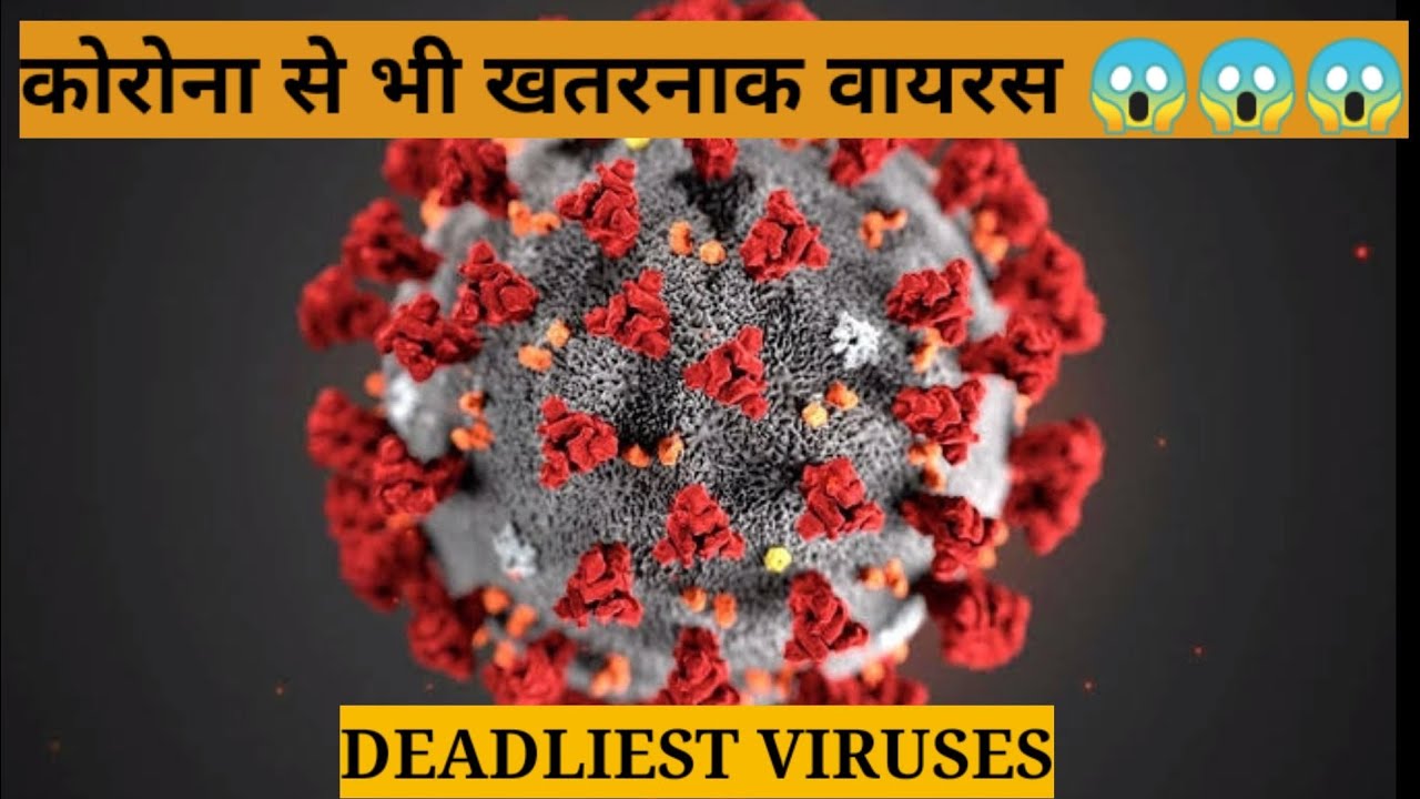 Top most deadliest viruses on earth | Top deadliest pandemics diseases ...